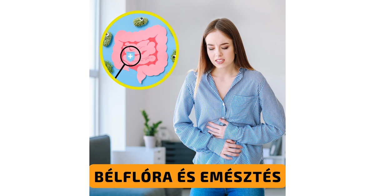 Bélflóra és emésztés - Életerő.info
